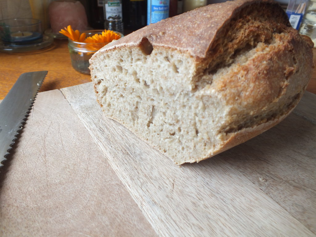 Roman Bread – Dragonfly Gardening